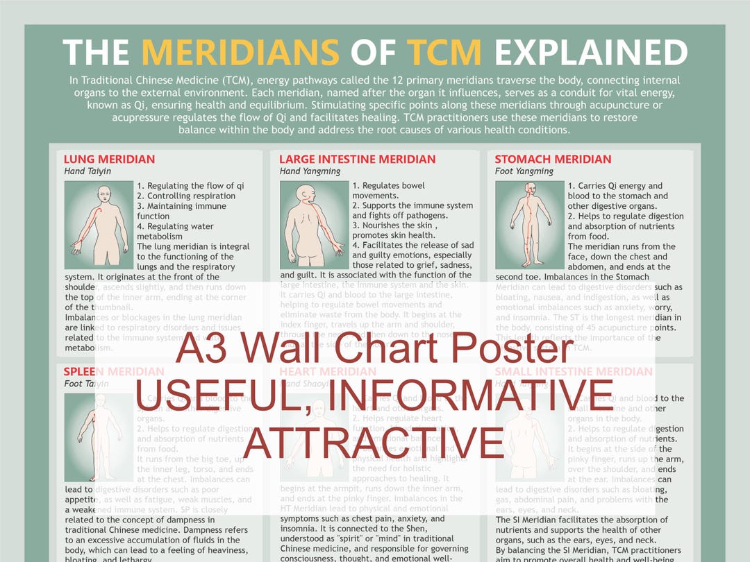 TCM Meridians A3 Poster: Chinese Medicine Chart (digital Download) - Etsy