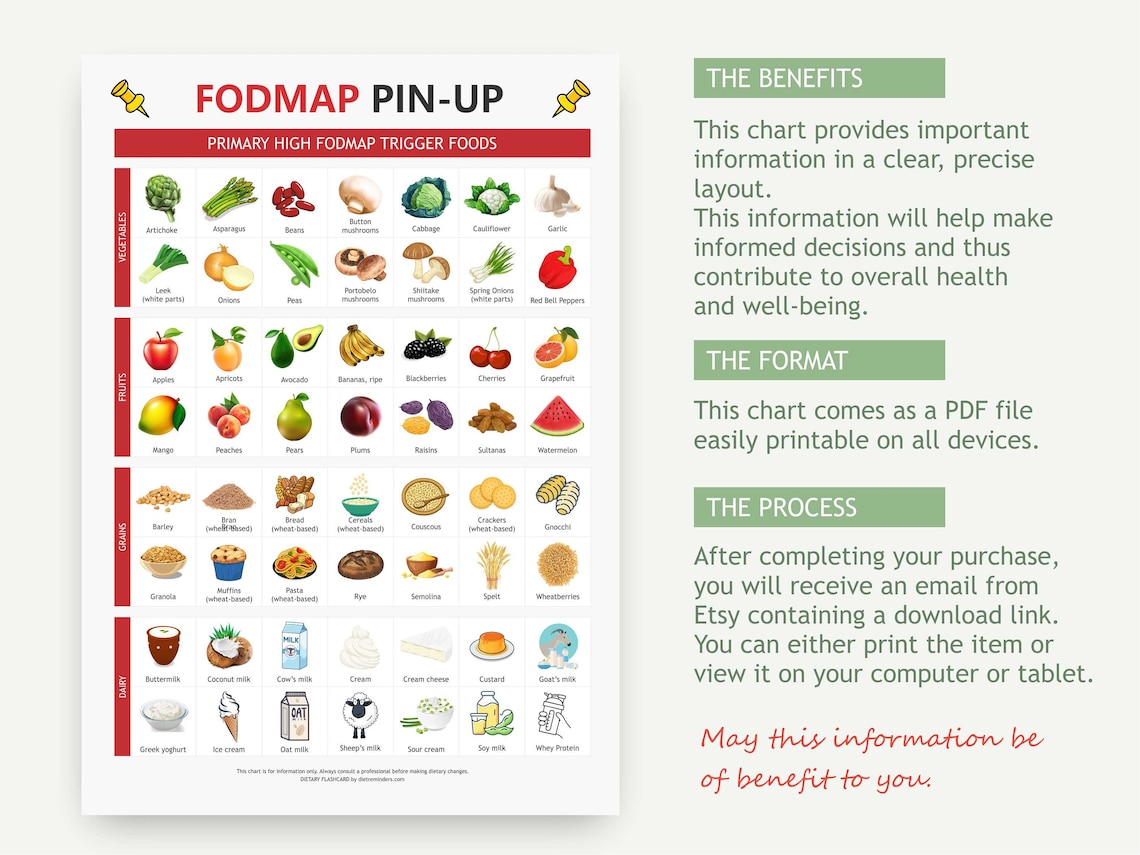 FODMAP Foods Visual Chart, High Fodmap Food Pin-up Chart, Digital ...