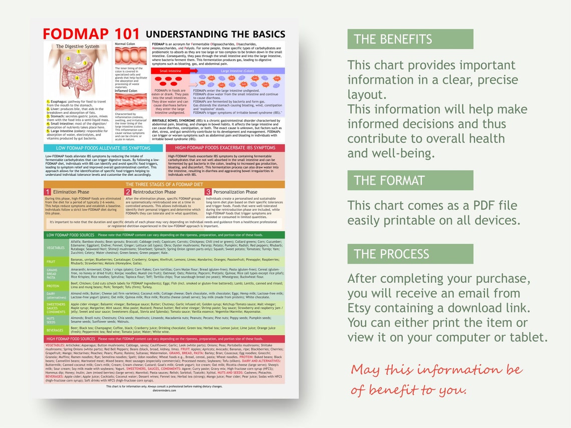 FODMAP 101, Understanding Fodmap, IBS, Digital Download, Irritable ...