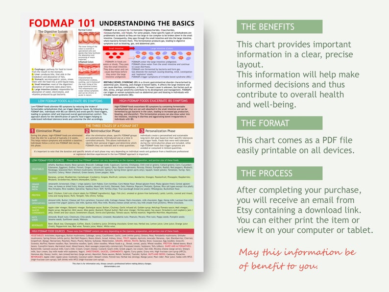 FODMAP 101, Understanding Fodmap, IBS, Digital Download, Irritable Bowel Syndrome, IBS, Colour ...