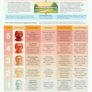 Emotional Regulation Chart: 5-point Scale, Coping Skills (PDF Download ...