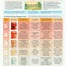 Emotional Regulation Chart: 5-point Scale, Coping Skills (PDF Download ...