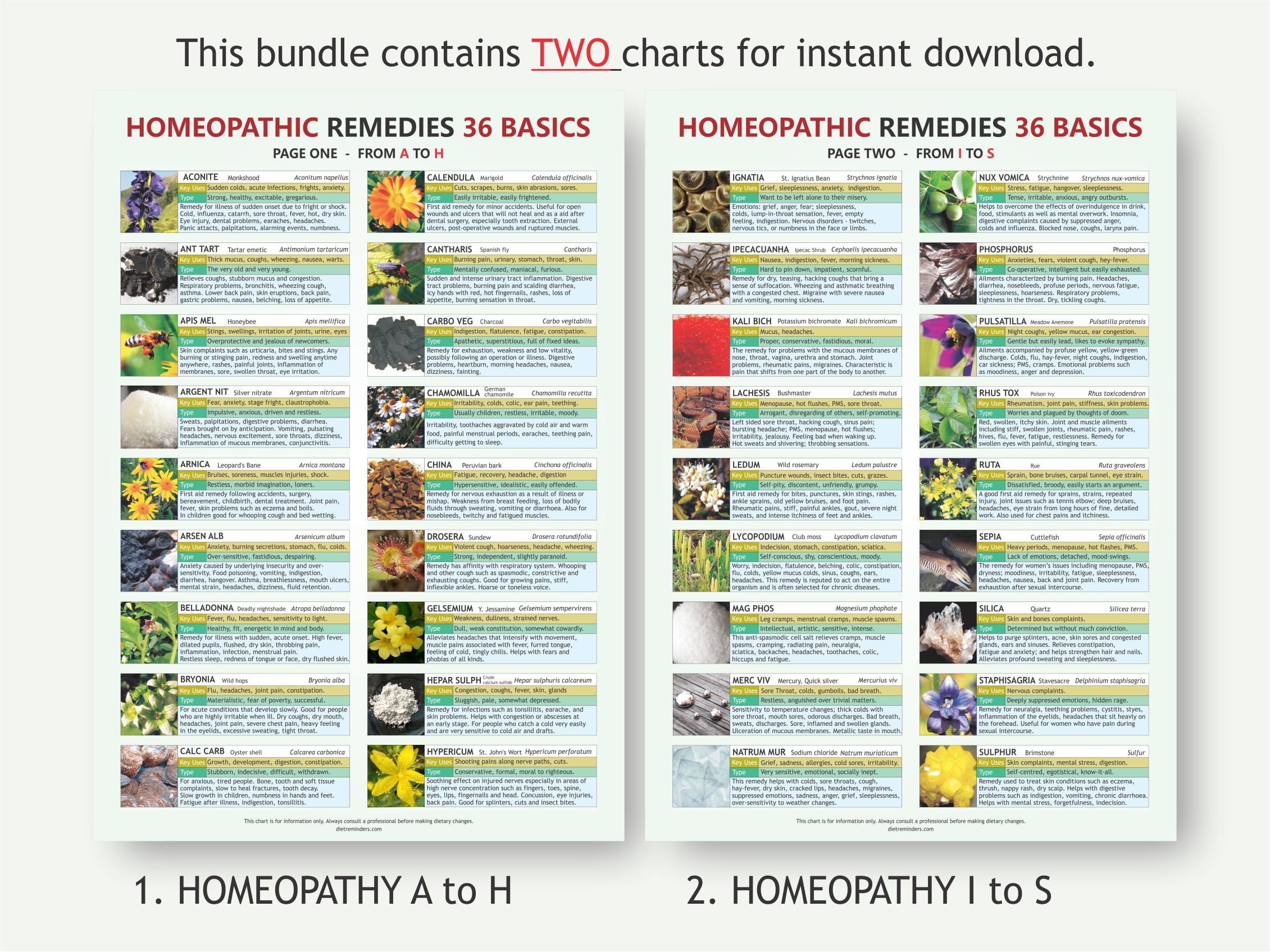 HOMEOPATHY Information Chart, Digital Download PDF, Homeopathy Chart ...