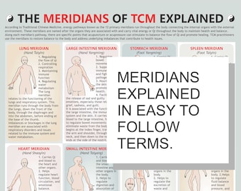 TCM Meridians Poster A3, Digital Download PDF, Chinese Medicine ...