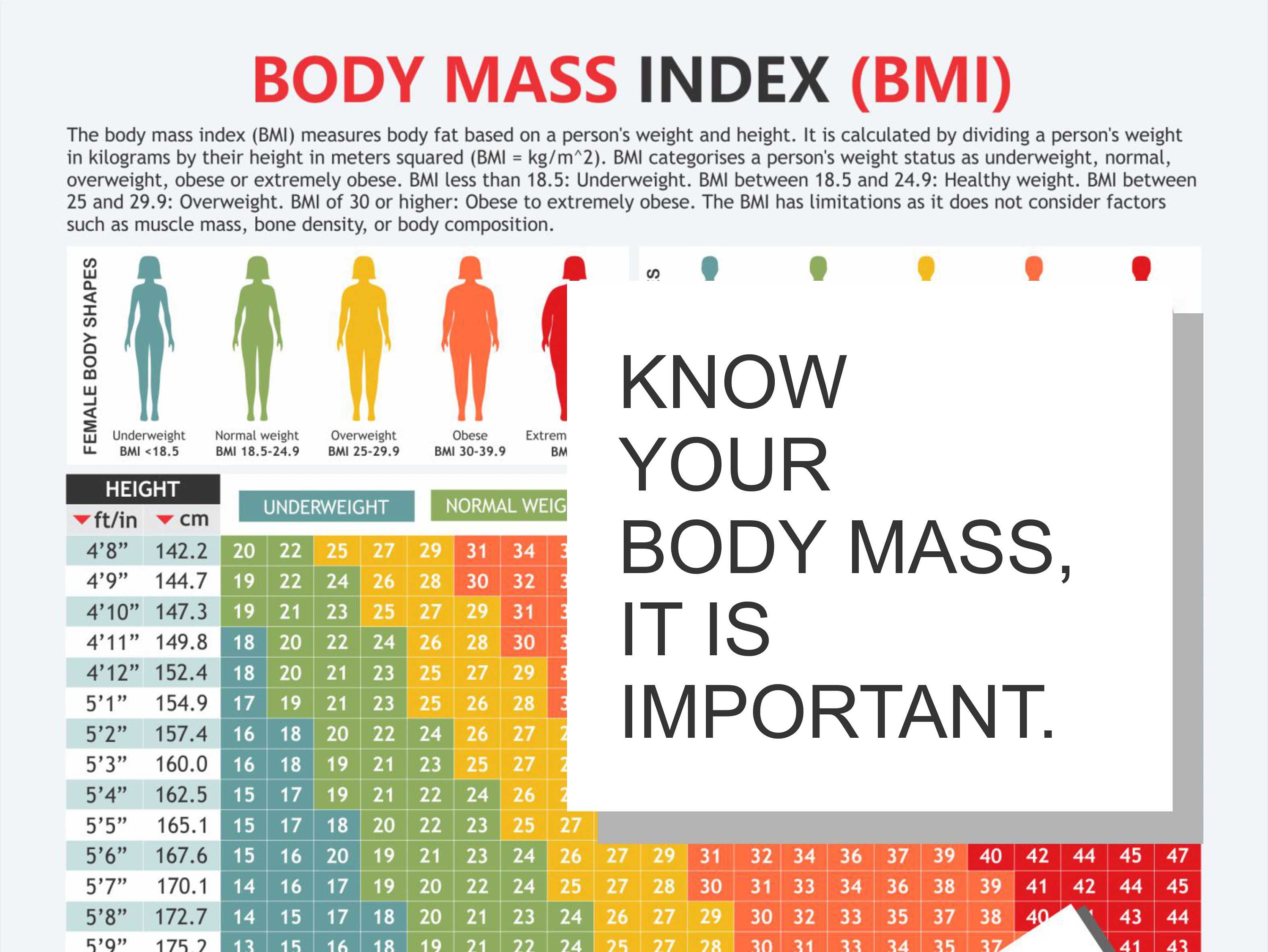 Body Mass Index Chart, Digital Download PDF, Height and Weight, Body ...