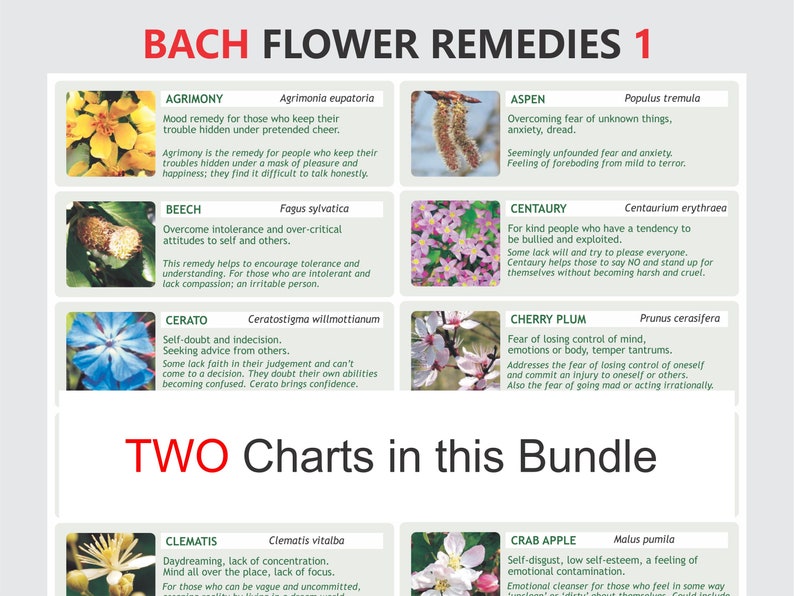 Bach Flower Remedies, Digital Download PDF, Rescue Remedy, BFR Essences ...