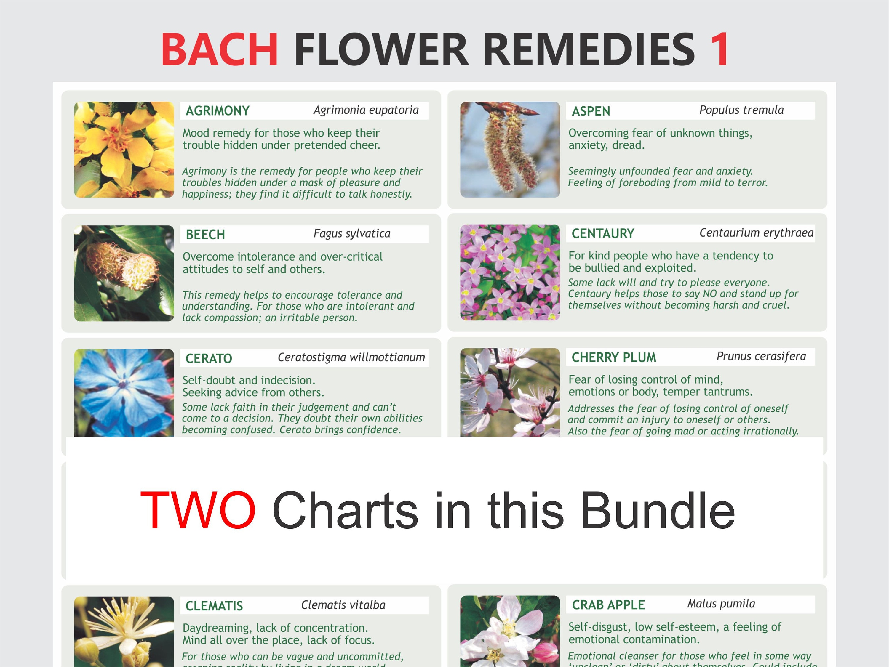 Bach Flower Remedies, Digital Download PDF, Rescue Remedy, BFR Essences ...
