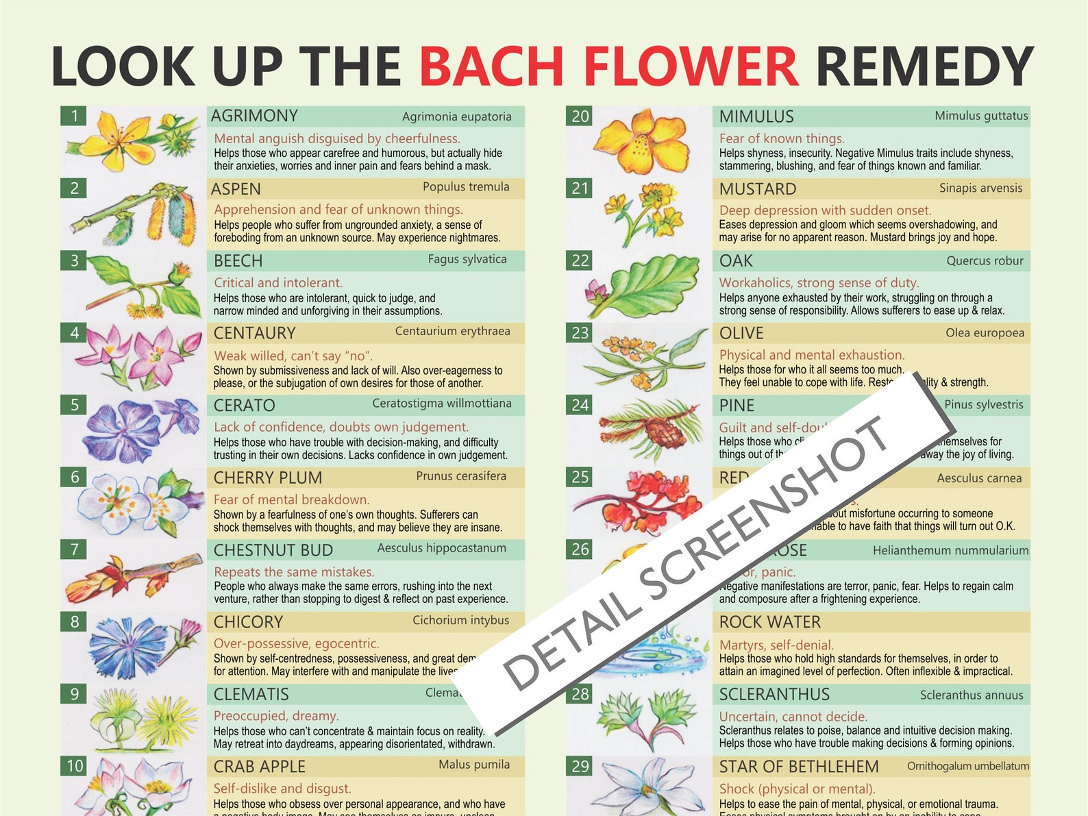 Bach Flower Remedies PDF • Self-help Mood Chart • Edward Bach Digital ...