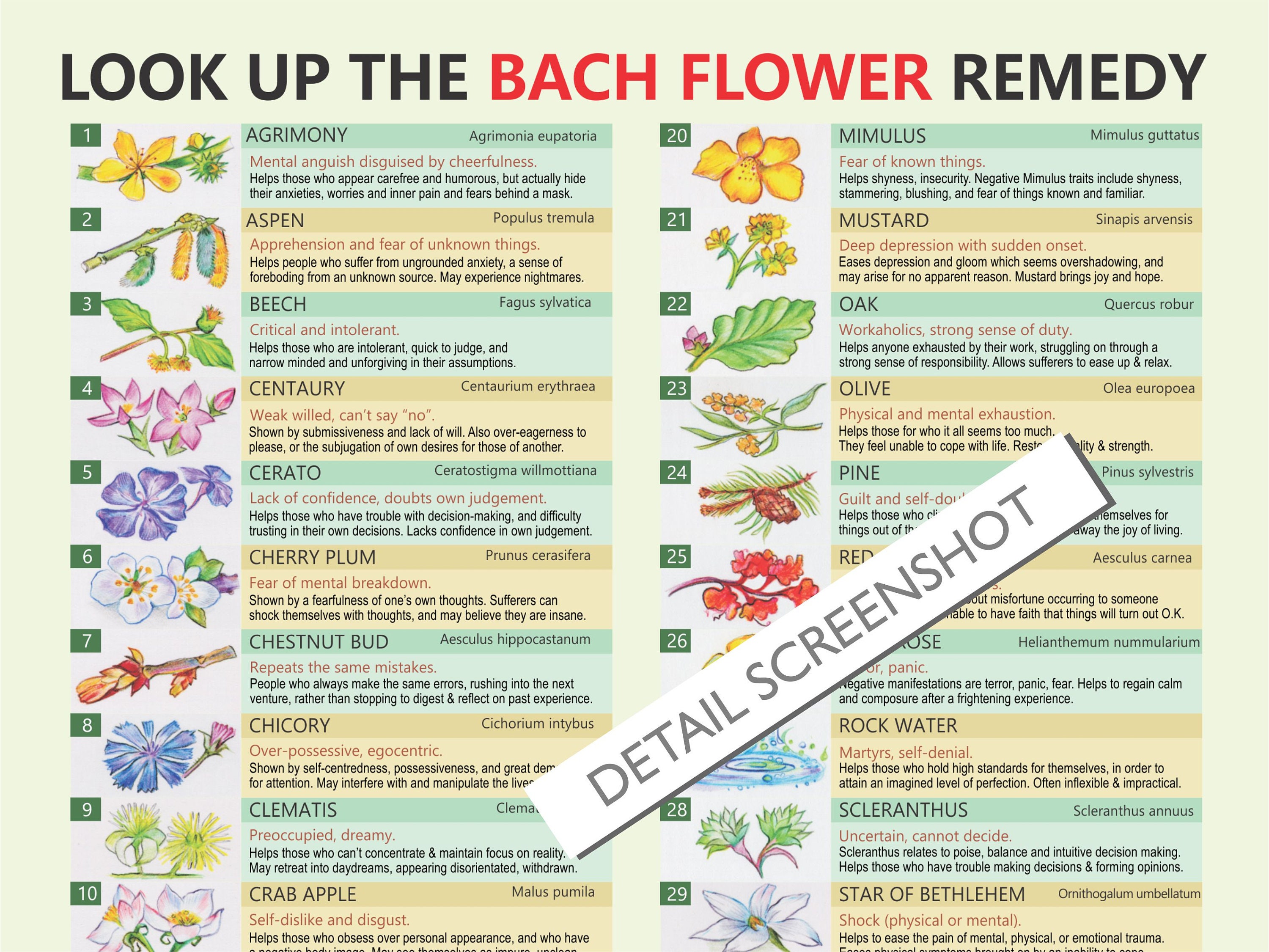 Bach Remedies, Self-help, Digital Download PDF, Bach Flower Remedies, Edward Bach Remedies, Bach ...