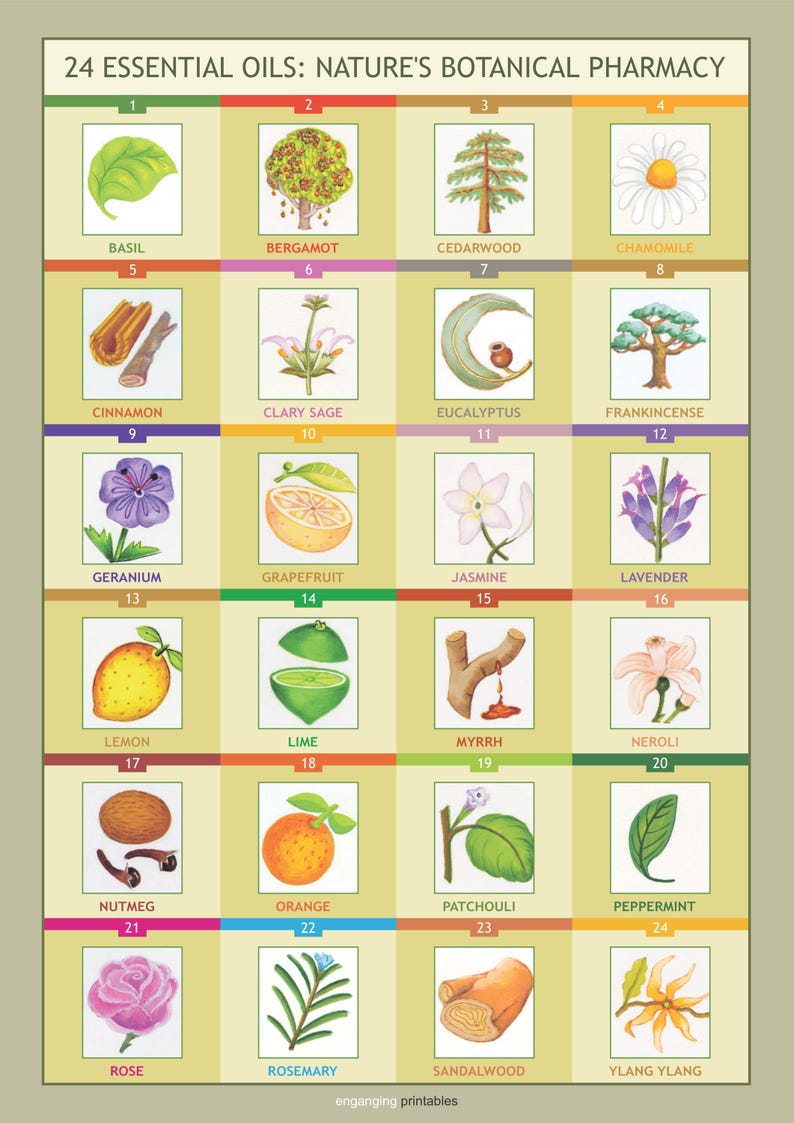 Essential Oils Reference Chart Bundle: Aromatherapy Guide (digital ...