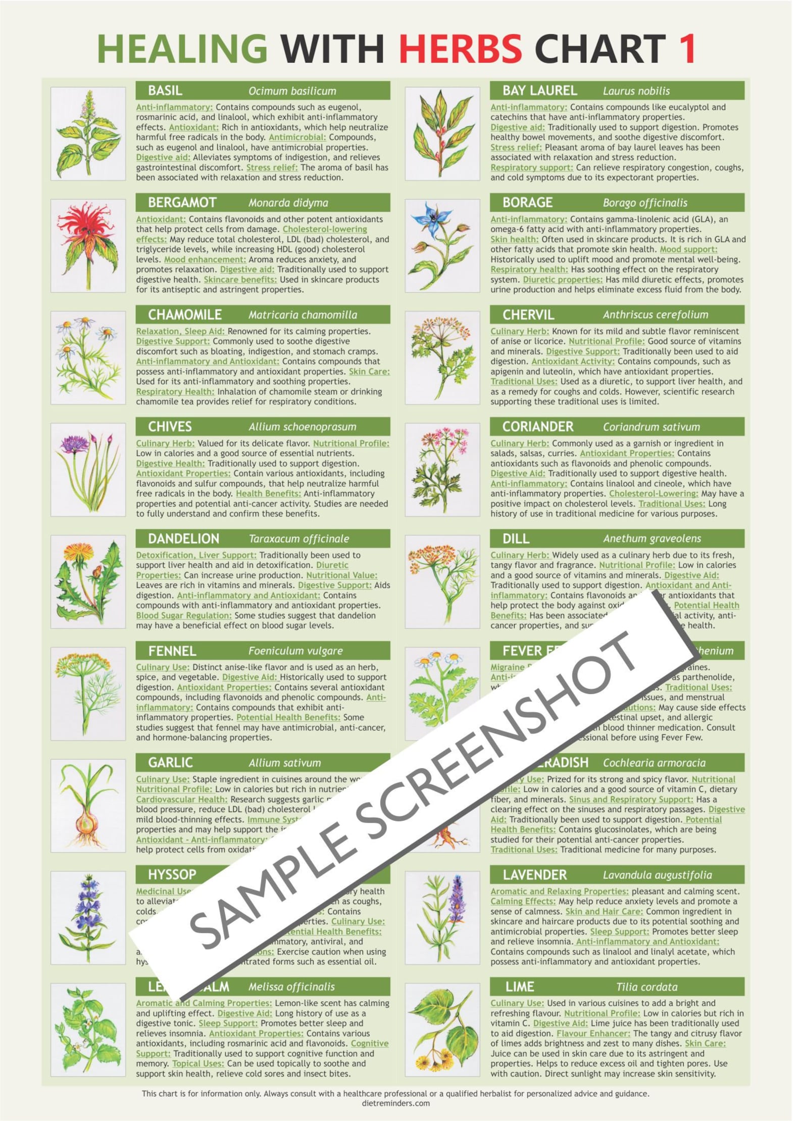 Healing Herbs Charts. Medicinal Herbs, Digital Download PDF, Herbs ...