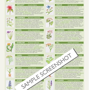 Healing Herbs Chart Bundle: Culinary & Medicinal Reference (digital PDF ...