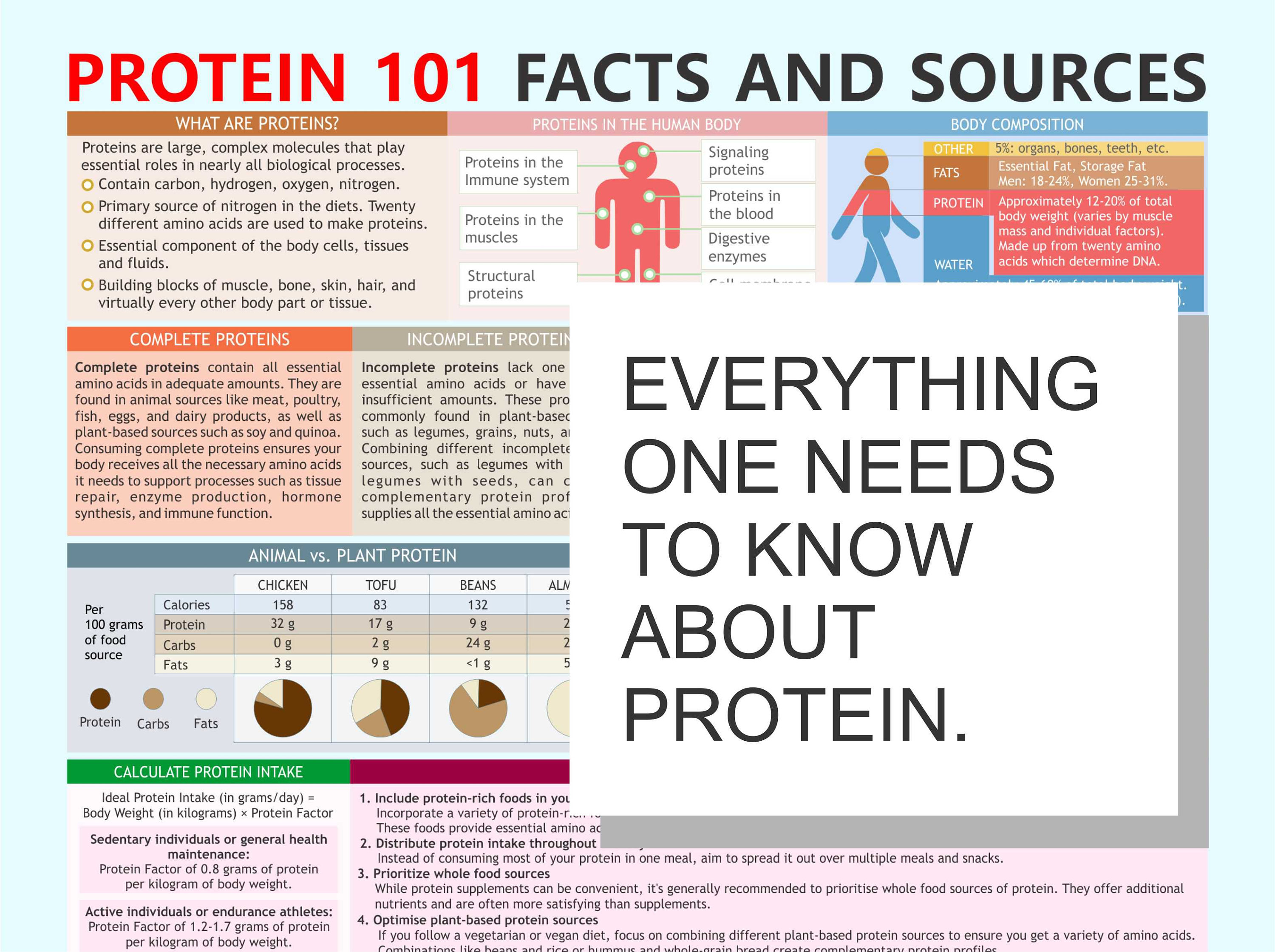Protein 101 Chart: Facts and Sources (downloadable PDF) - Etsy