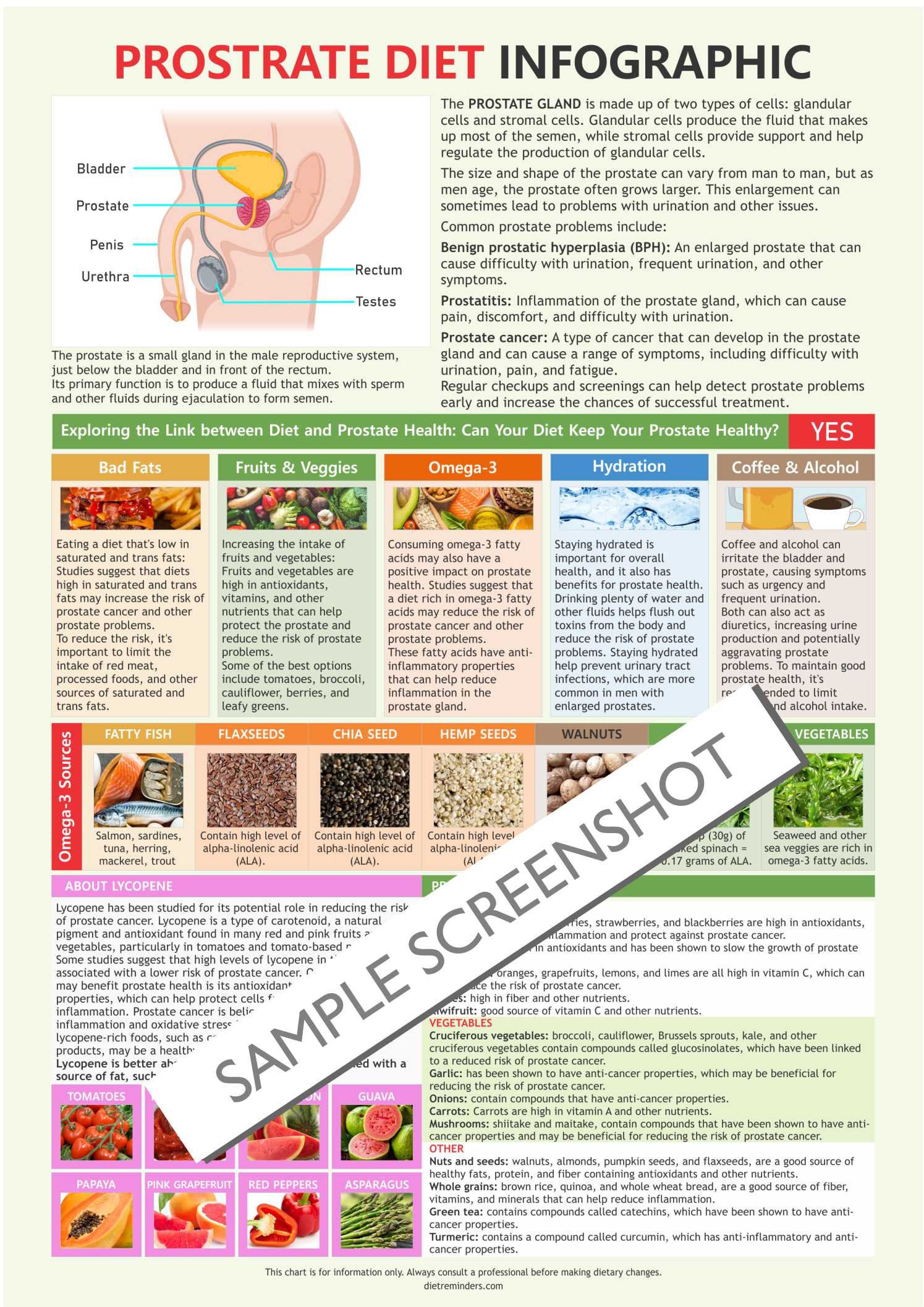 Prostate Infographic Chart Digital Download PDF Prostate - Etsy Australia