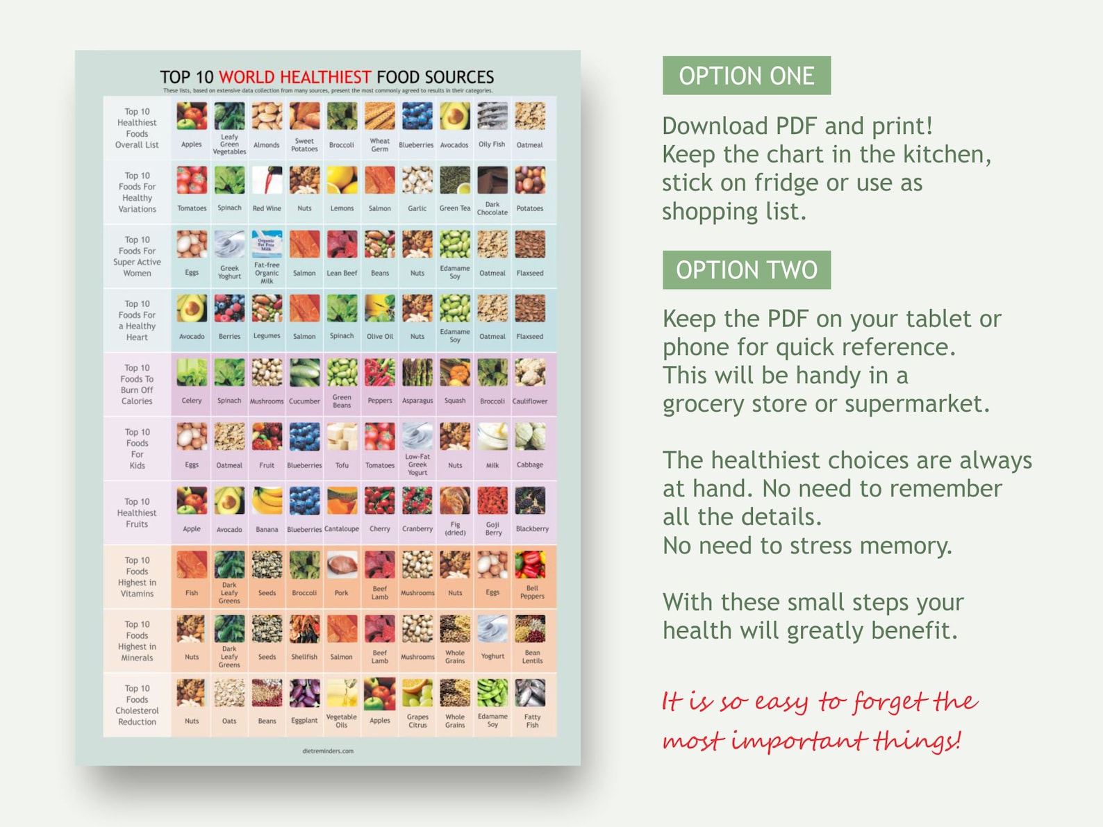 TOP TEN Food Lists, Foods, Best Diet, Downloadable Chart, Printable, A4 ...