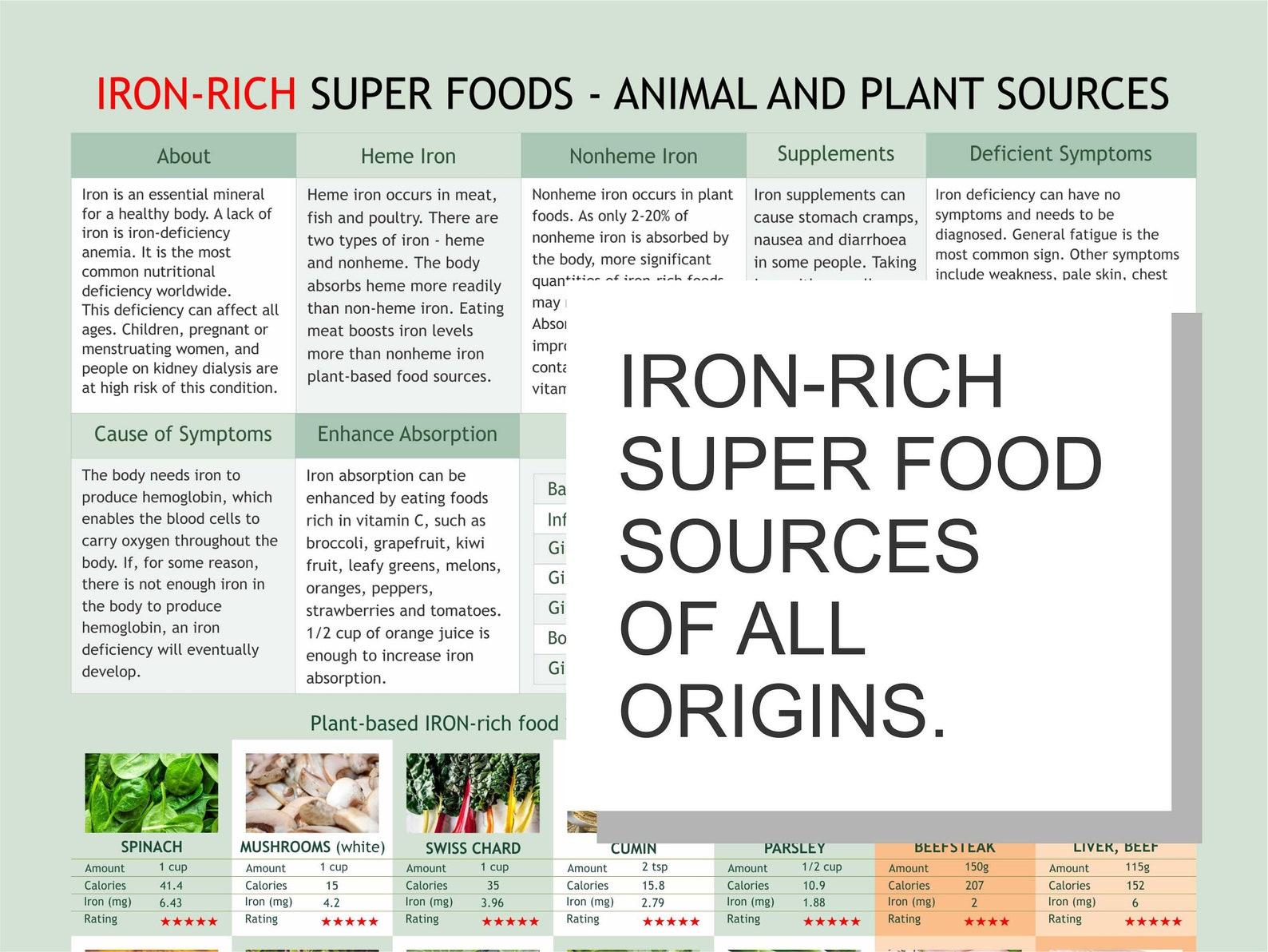 Iron-rich Food Chart: Vegan & Meat Sources (digital Download) - Etsy