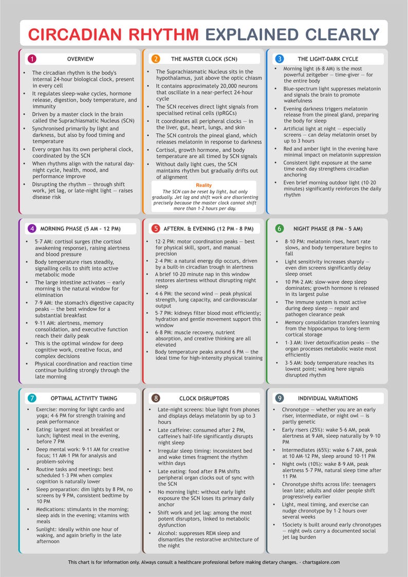Circadian Rhythm Bundle: Body Clock & Sleep Cycle Guide (digital ...