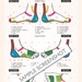 Foot Reflexology Chart, Digital Download PDF, Reflexology Chart ...