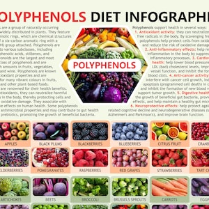 Polyphenol Food Chart: Antioxidant-rich Foods Guide (PDF Download A4 ...
