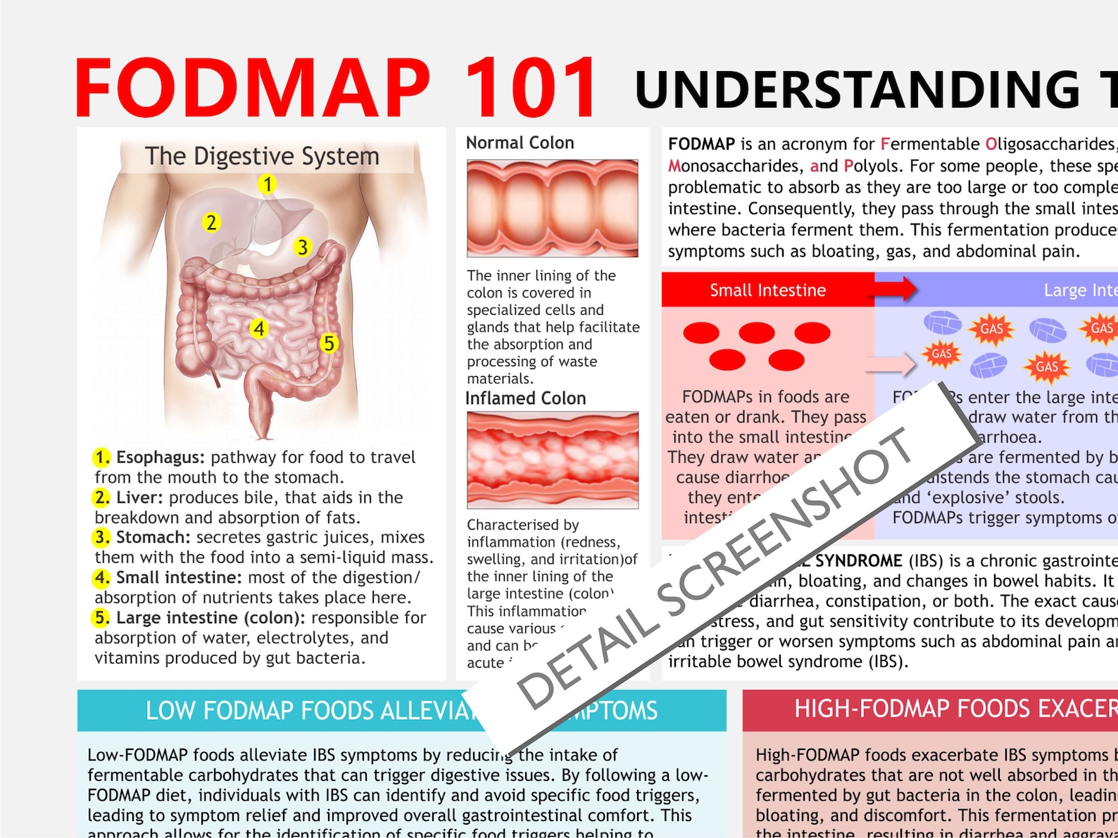 FODMAP 101, Understanding Fodmap, IBS, Digital Download, Irritable ...