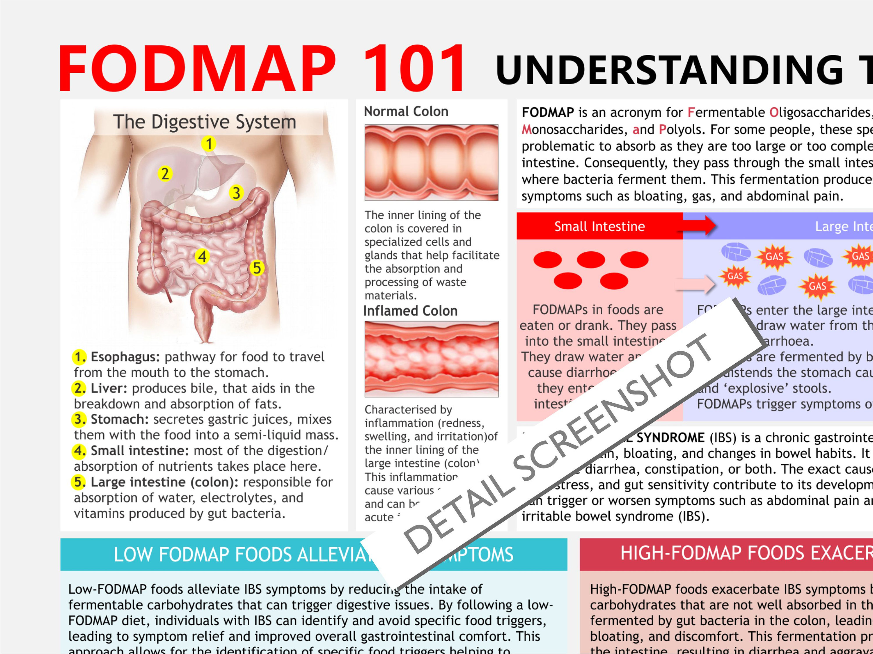 FODMAP 101, Understanding Fodmap, IBS, Digital Download, Irritable ...