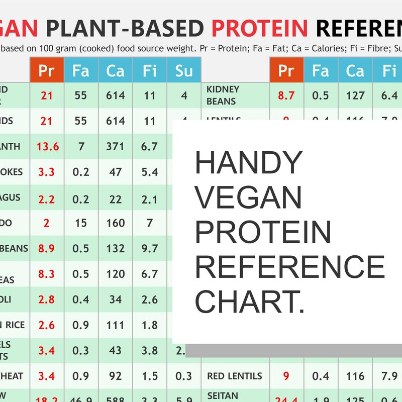 Protein Chart - Etsy