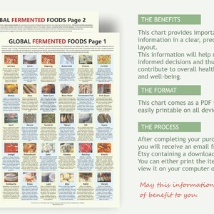 Fermented Foods Chart, Digital Download PDF, Global Fermentation, Food ...