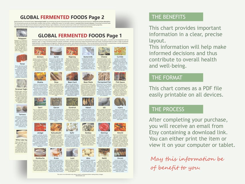 Fermented Foods Chart, Digital Download PDF, Global Fermentation, Food ...