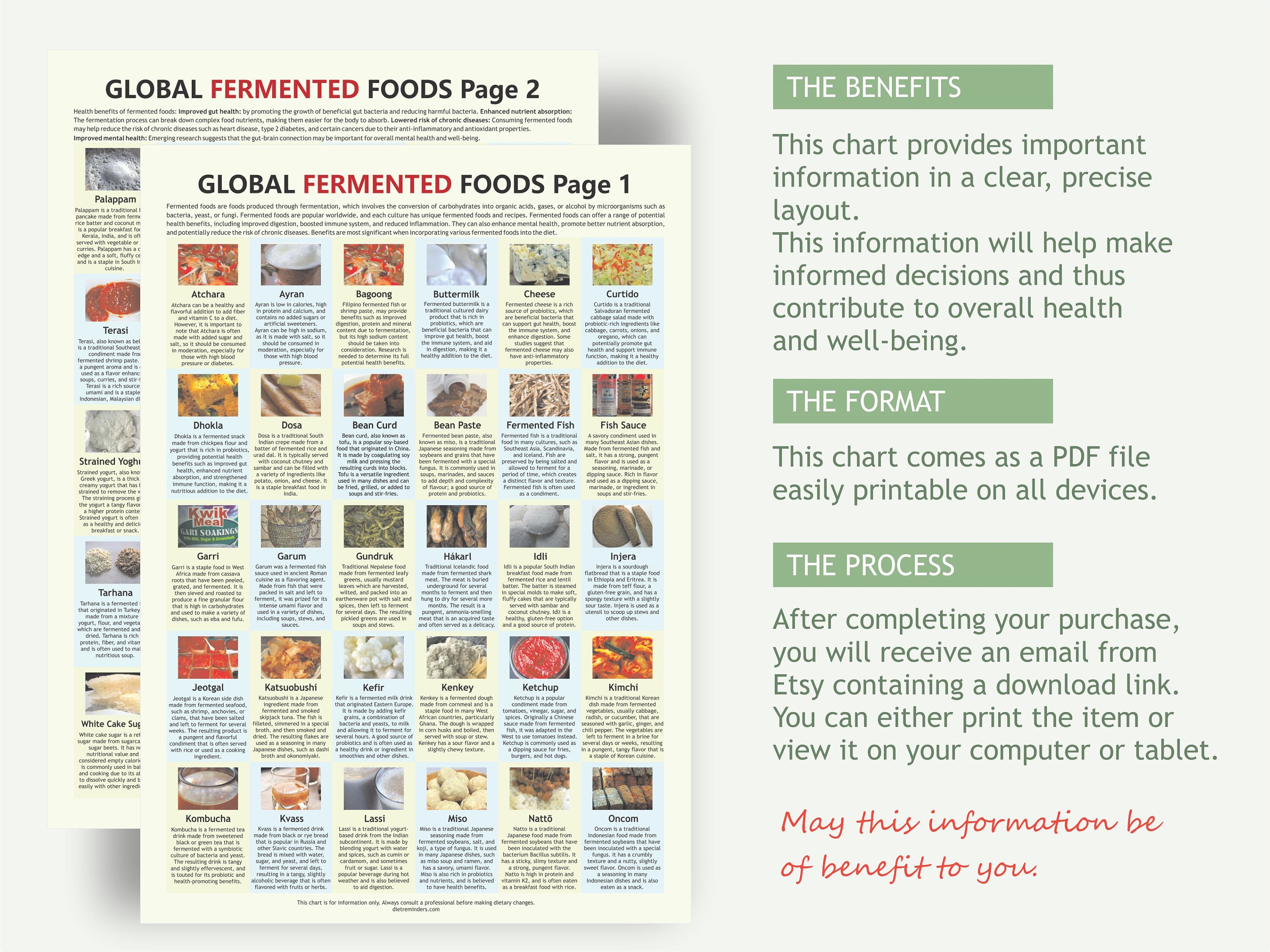 Fermented Foods Chart, Digital Download PDF, Global Fermentation, Food ...