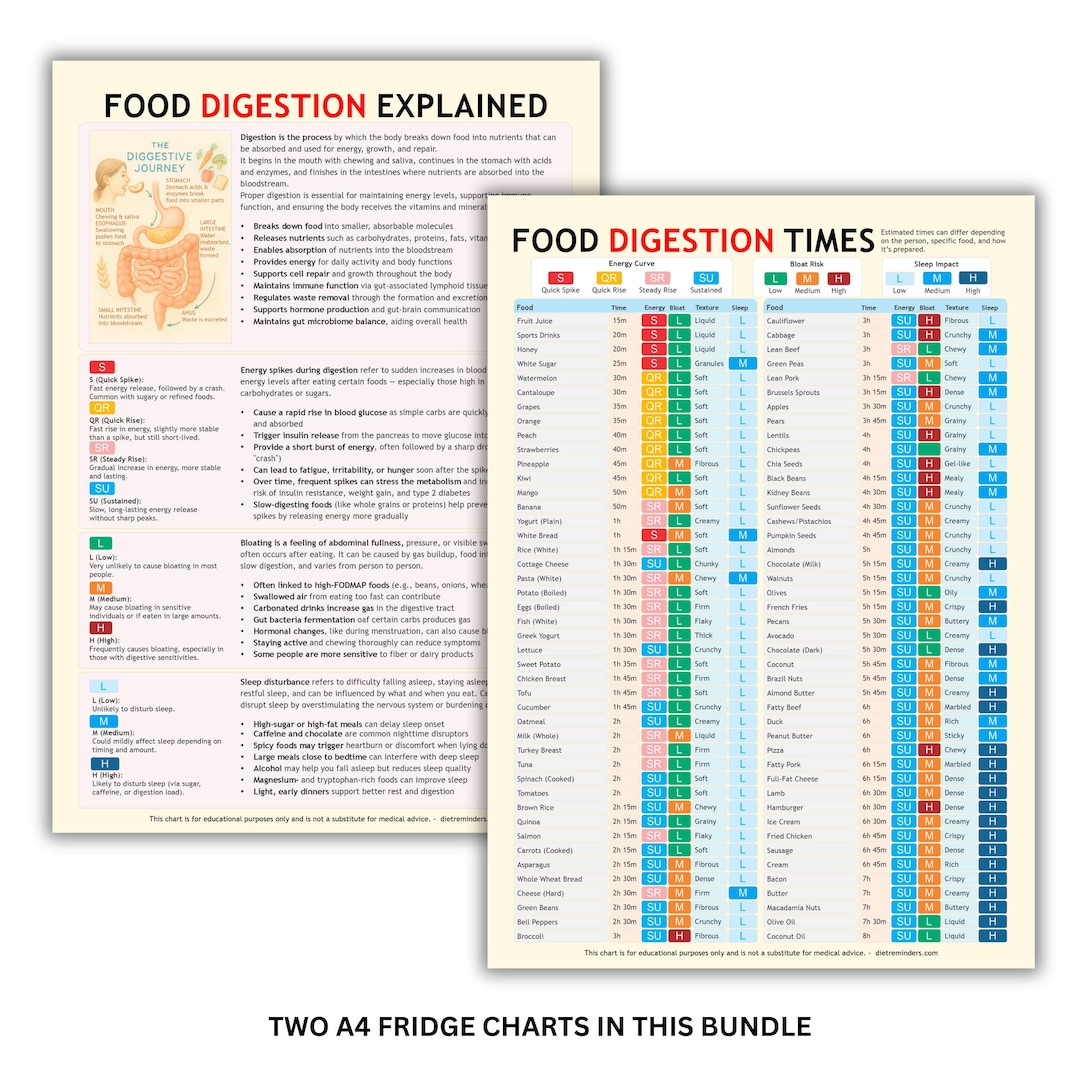 Food Digestion Charts: Energy, Bloat & Sleep Impact (PDF Downloads ...