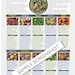 Superfoods Poster A3, Superfoods Nutrition Chart – Healthy Eating Guide ...