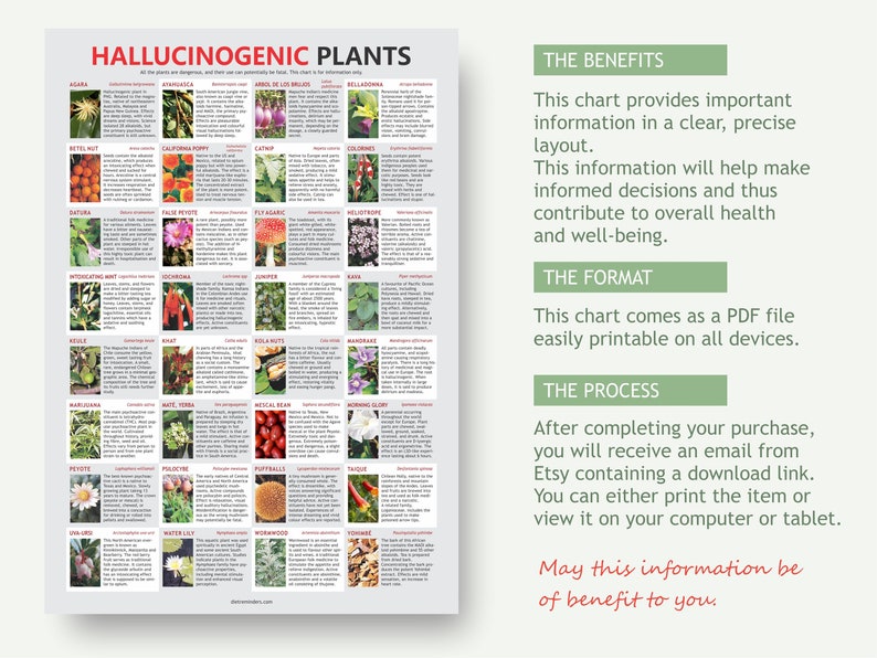 Hallucinogenic Plant Chart, Digital Download PDF, Trippy Plants ...