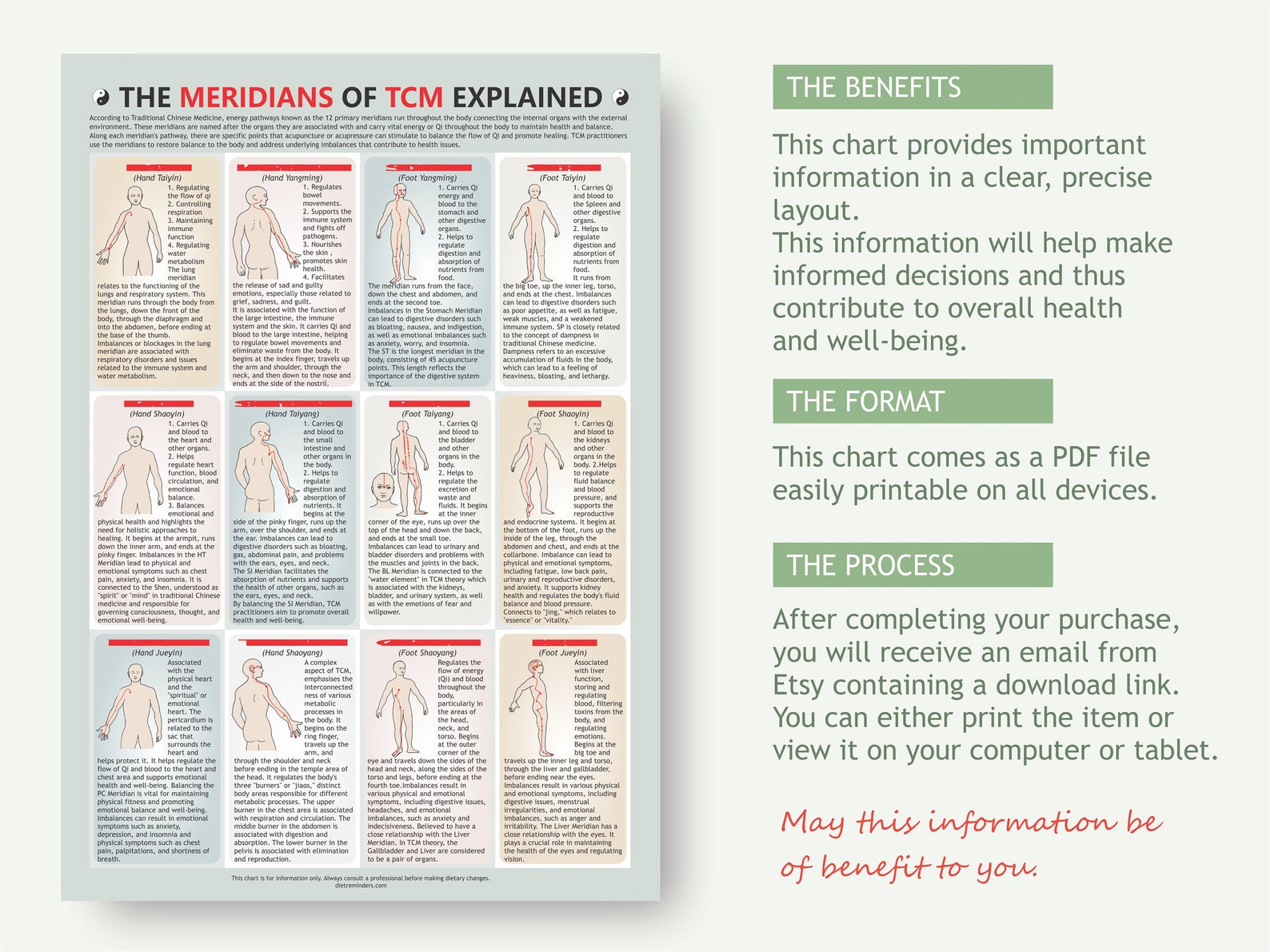 TCM Meridians Chart, Digital Download PDF, Chinese Medicine, Meridian ...