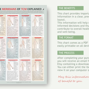 TCM Meridians Chart, Digital Download PDF, Chinese Medicine, Meridian ...