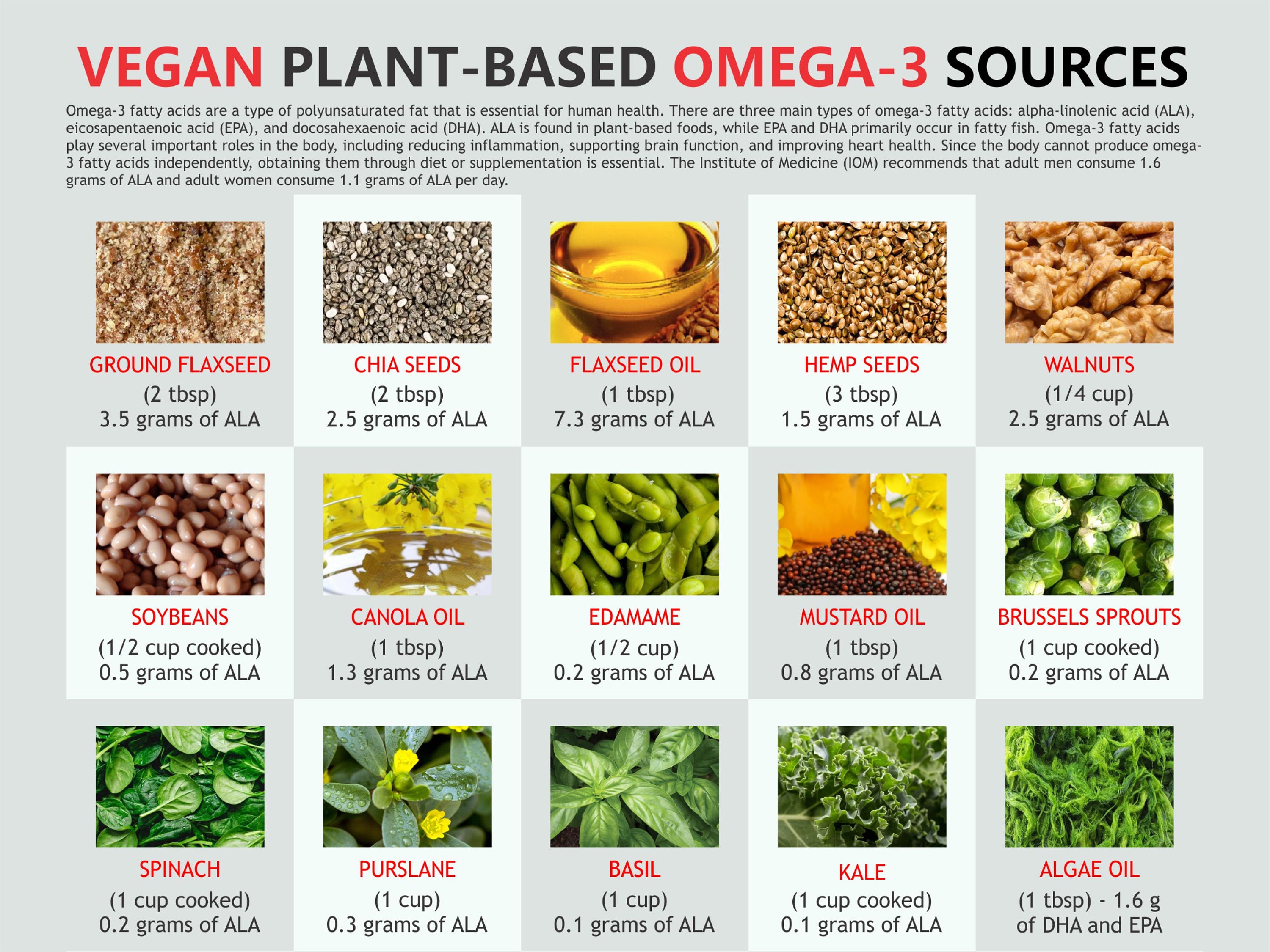 Vegan Omega-3 Food Chart: Plant-based Sources (digital Download) - Etsy