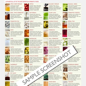 PROBIOTIC Foods Chart, Digital Download PDF, High Probiotic Food ...