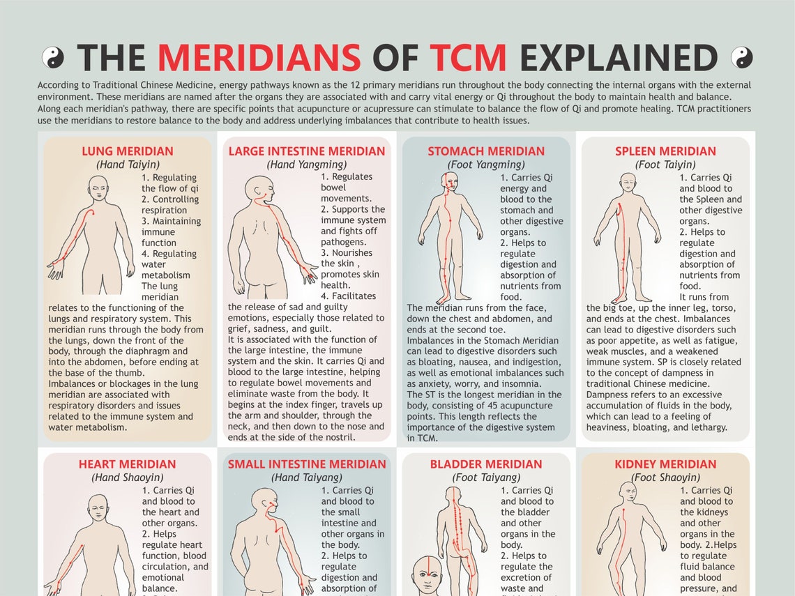 TCM Meridians Chart Digital Download PDF - Etsy UK