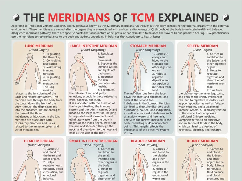 TCM Meridians Chart, Digital Download PDF, Chinese Medicine, Meridian ...
