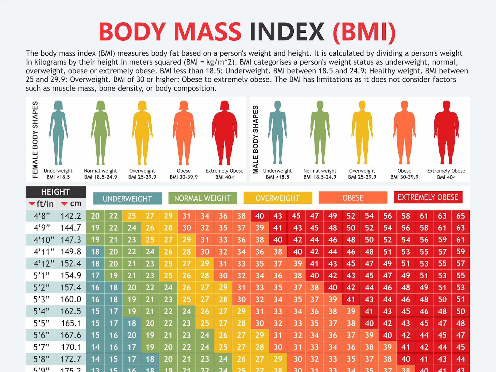 Body Mass Index Chart, Digital Download PDF, Height and Weight, Body Fat, Healthy Weight, Waist ...