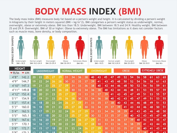 Height Weight Chart For Men BMI (Body Mass Index): What It Is & How To