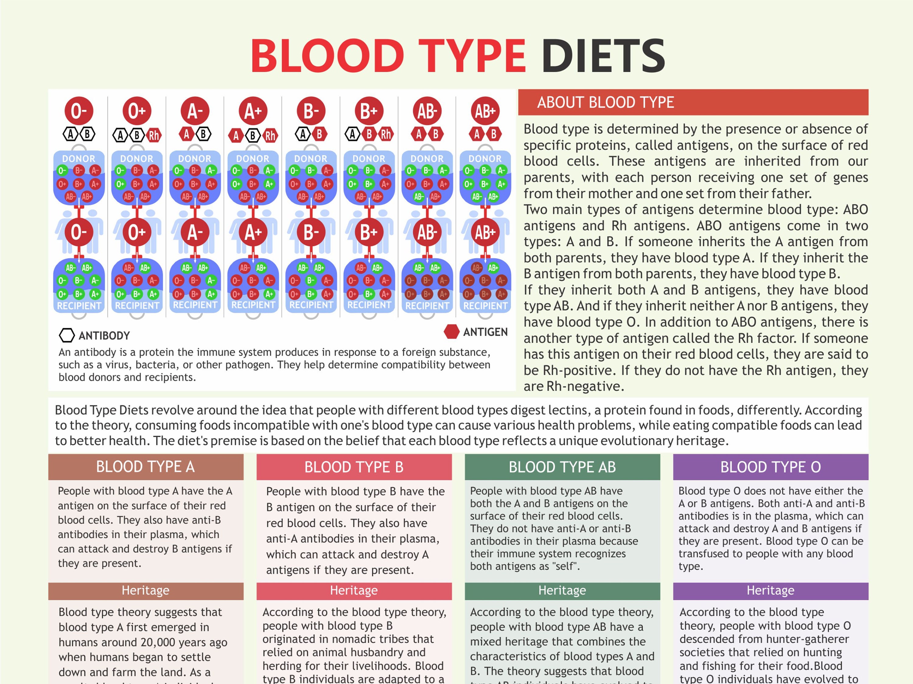 Blood Type Diet Chart | Eating for Your Blood Type | Food Guide for ...