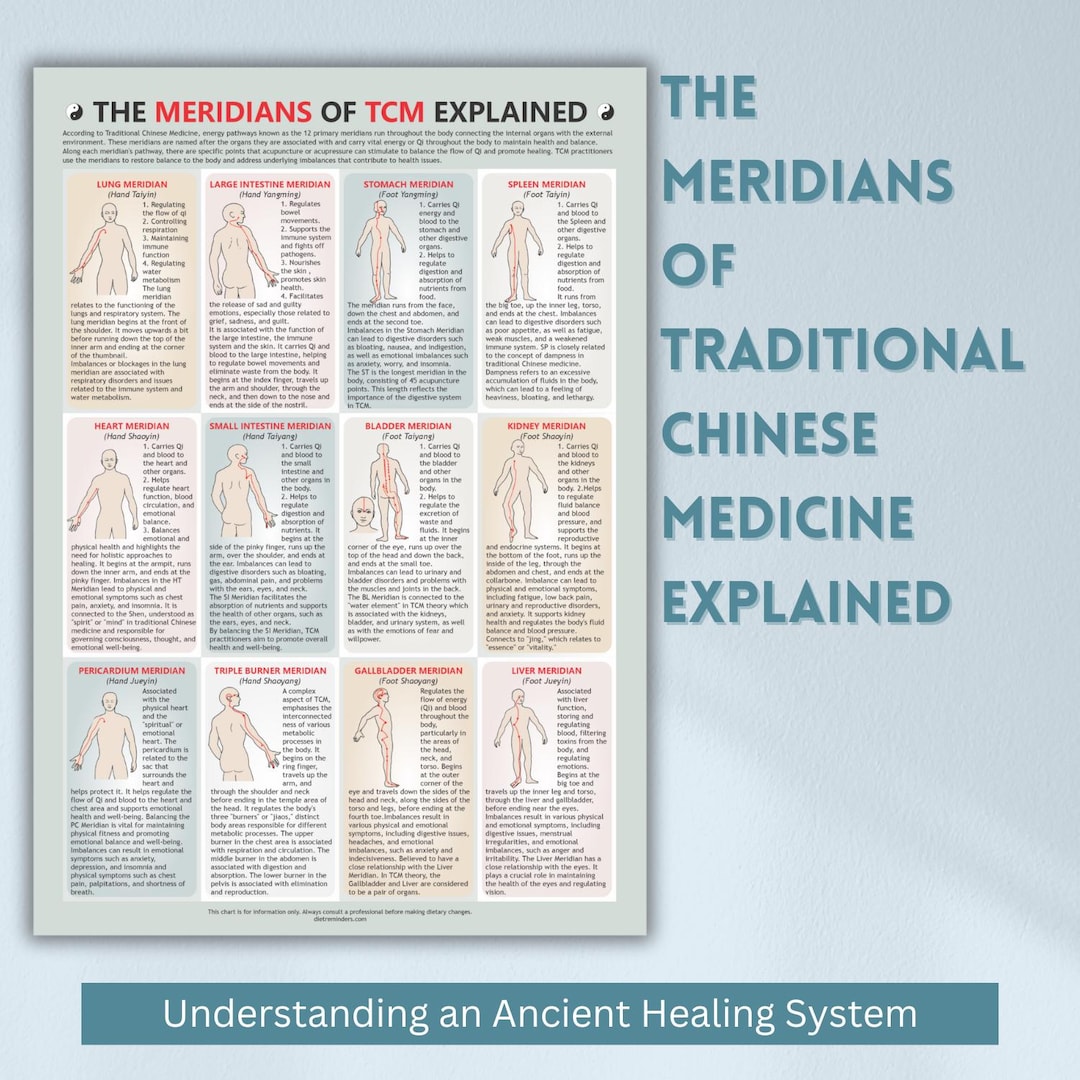 TCM Meridians Chart, Digital Download PDF, Chinese Medicine, Meridian ...
