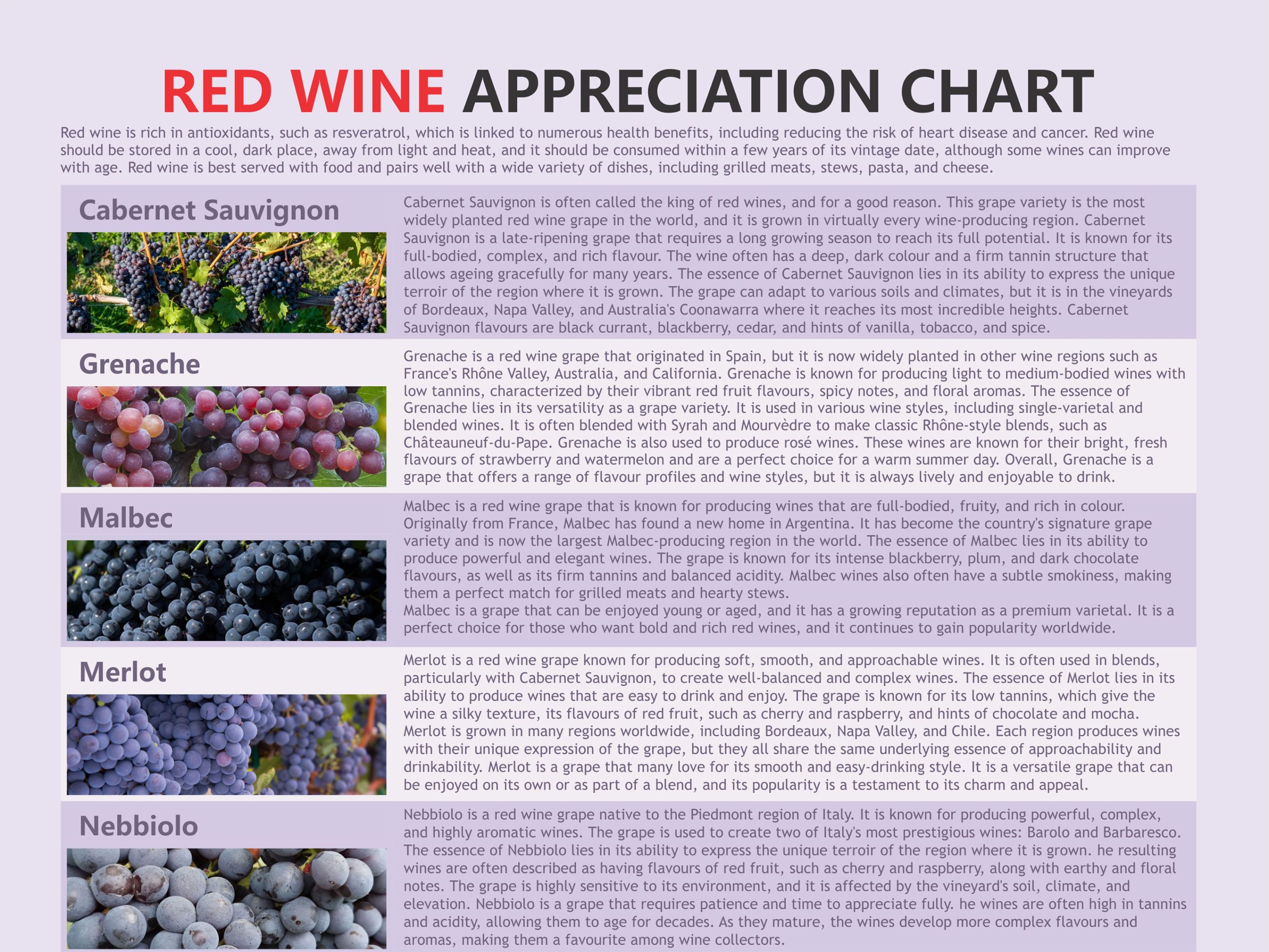 Red Grapes Chart, Digital Download PDF, Ed Grape Varieties, Wine Lover ...