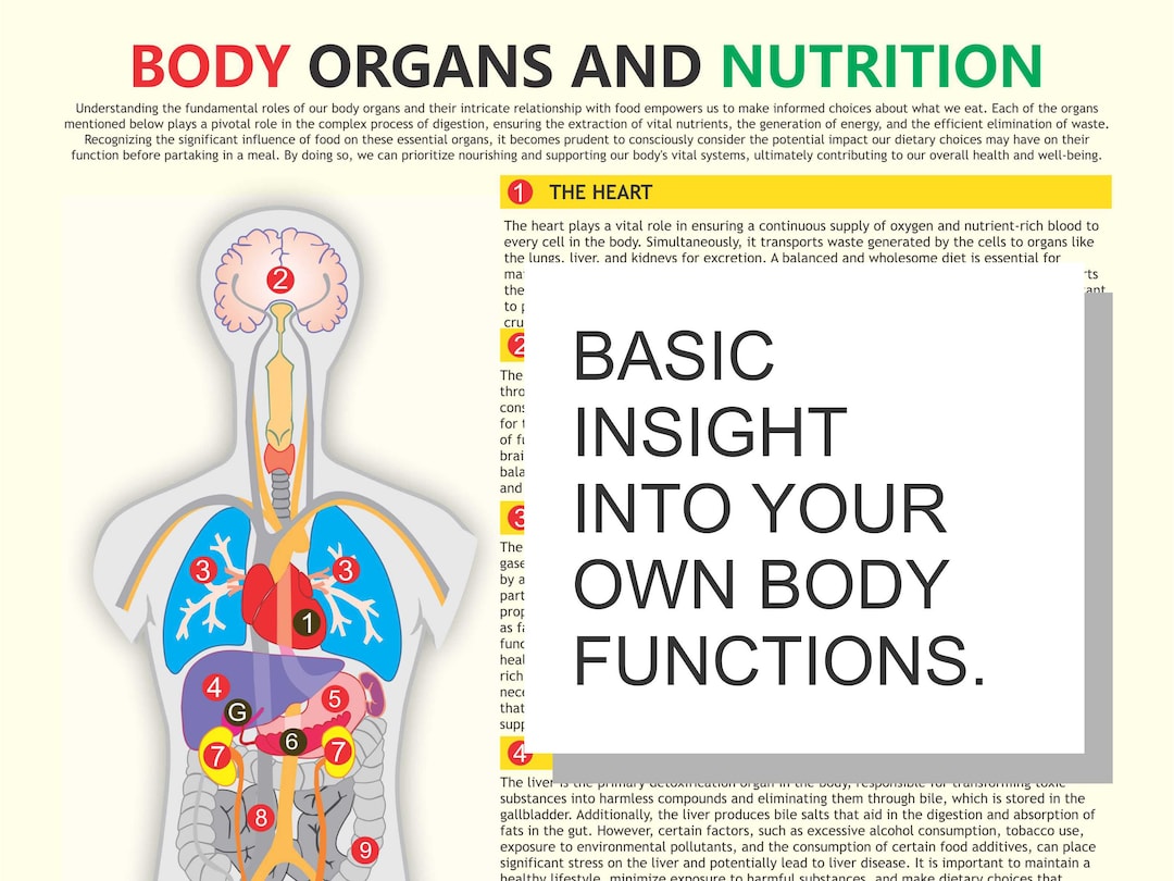 Parts Of The Body Organs And Their Functions