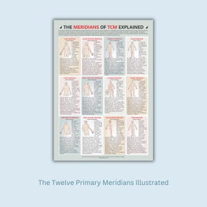Traditional Chinese Medicine Meridians Chart | TCM Acupuncture ...