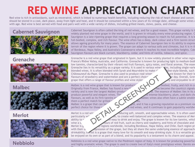 Red Grapes Chart, Digital Download PDF, Ed Grape Varieties, Wine Lover ...