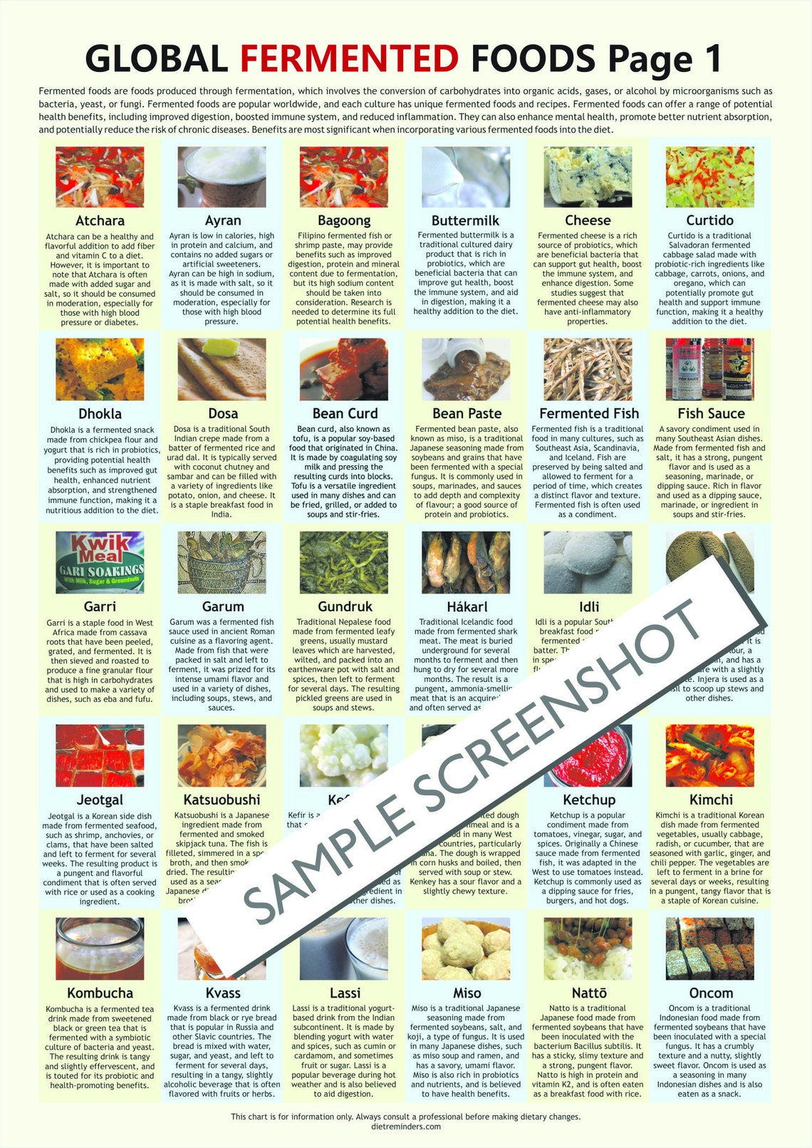 Fermented Foods Chart, Digital Download PDF, Global Fermentation, Food ...