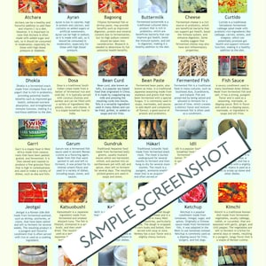 Fermented Foods Chart, Digital Download PDF, Global Fermentation, Food ...