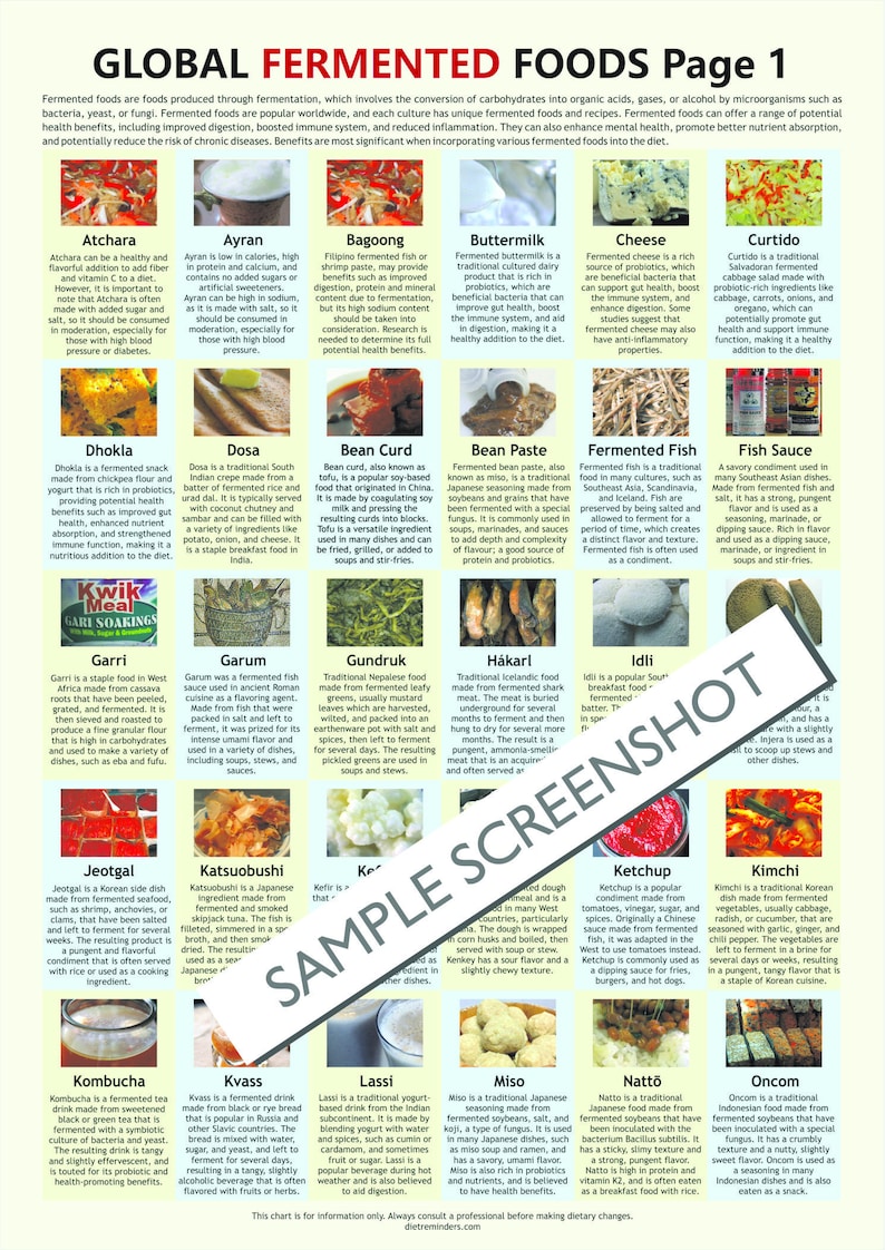 Fermented Foods Chart, Digital Download PDF, Global Fermentation, Food ...