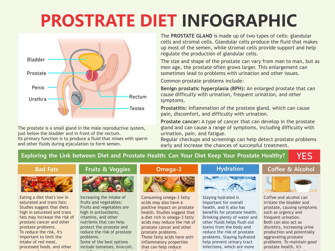 Prostate Infographic Chart Digital Download PDF - Etsy